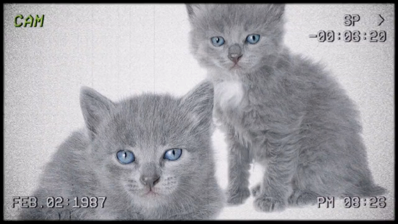 石勇 人的心智成长史:如何培养小孩和自我教育