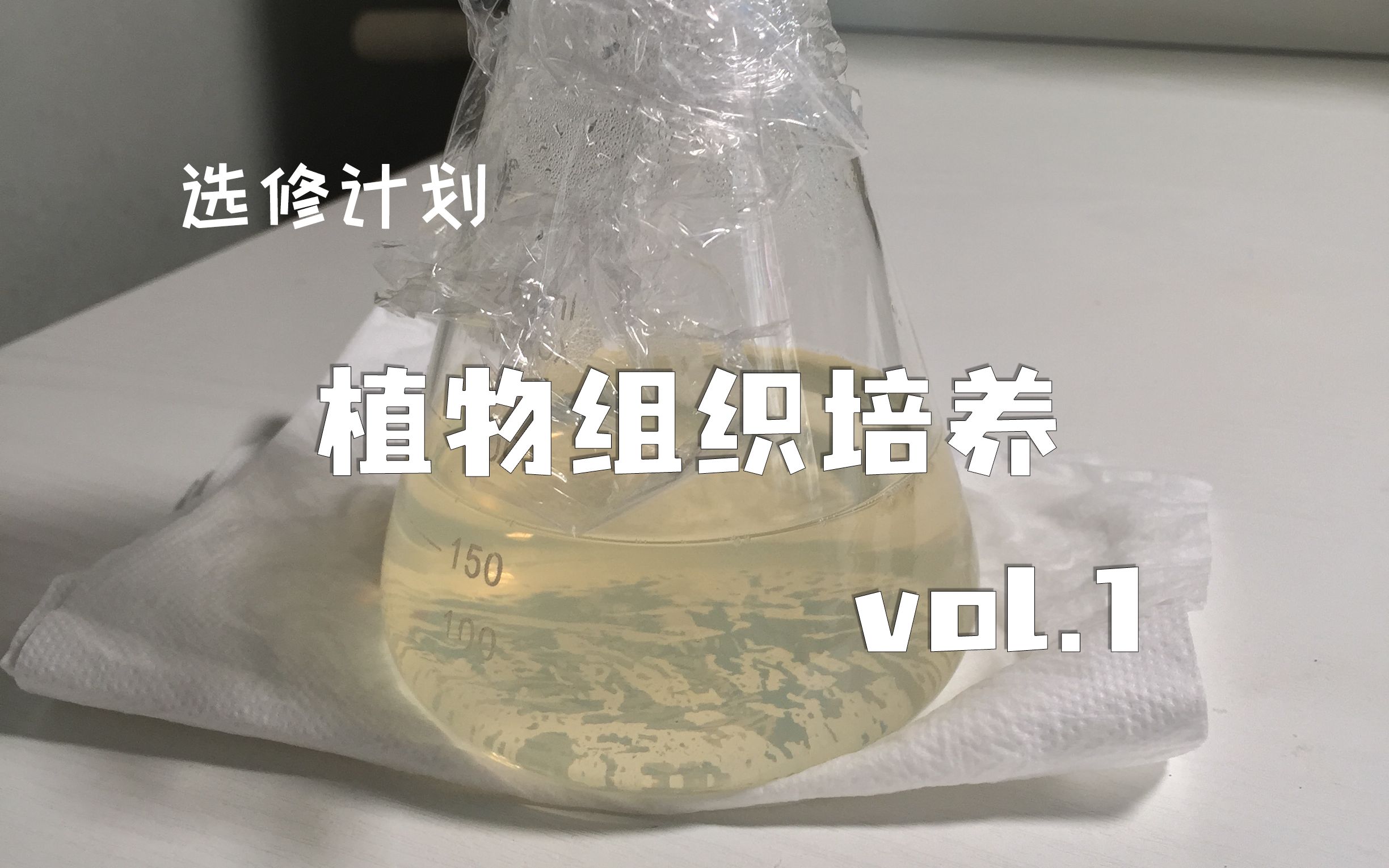 【选修计划】RE: 从零开始的植物组织培养 vol.1
