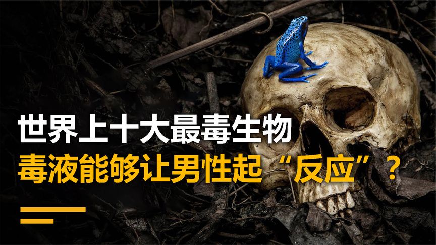 世界上十大最毒生物,招招致命碰见快避开,有的动物毒液一滴千金