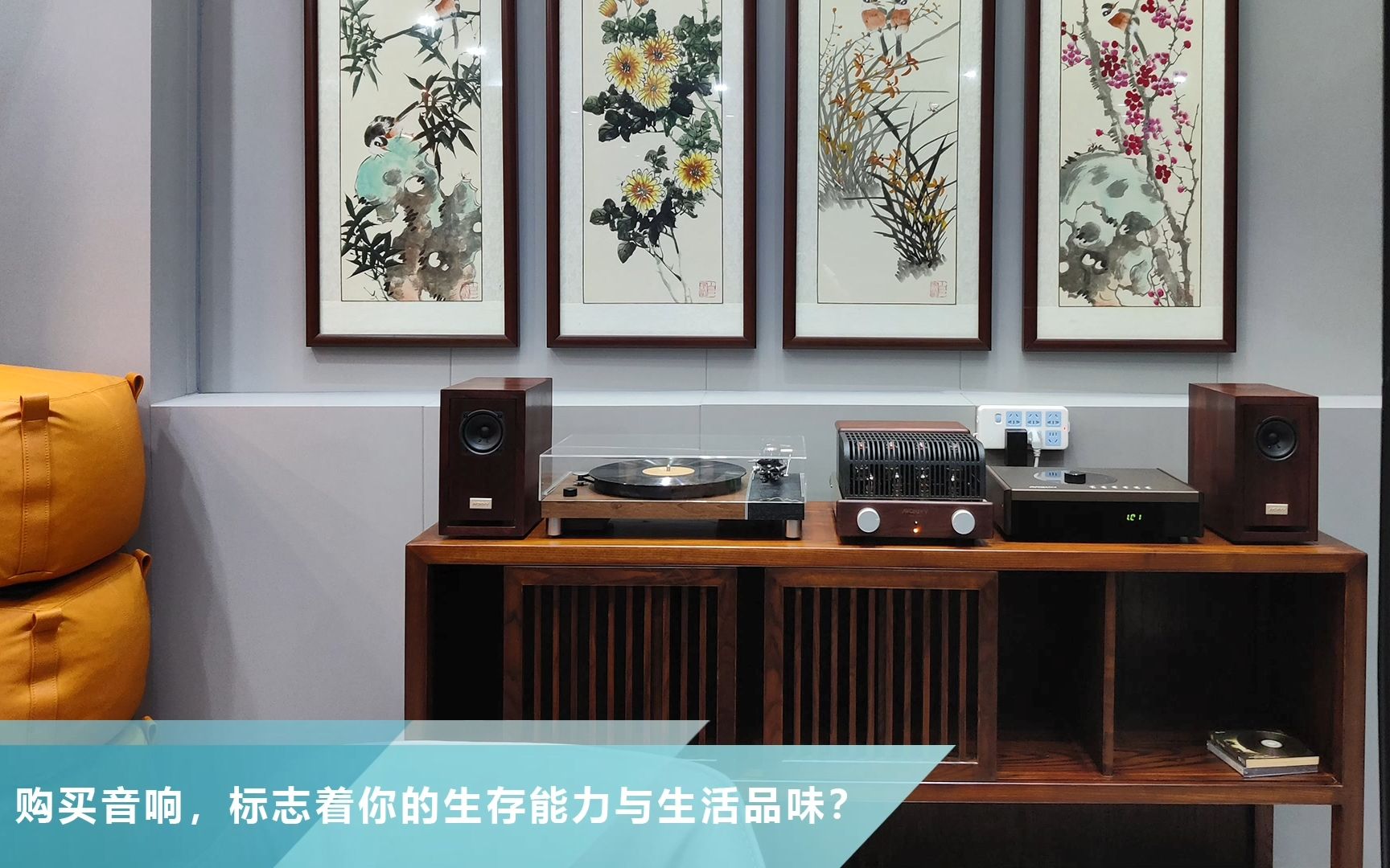 天道杂谈,购买音响,标志着你的生存能力与生活品味?