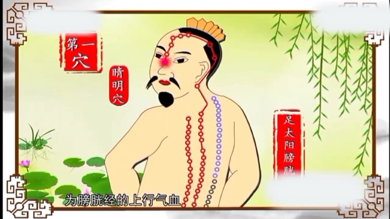 中医知识小讲堂,每天一个穴位小知识—晴明穴