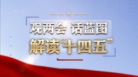 观两会,话蓝图!杨禹带你解读“十四五”中的统筹发展和安全