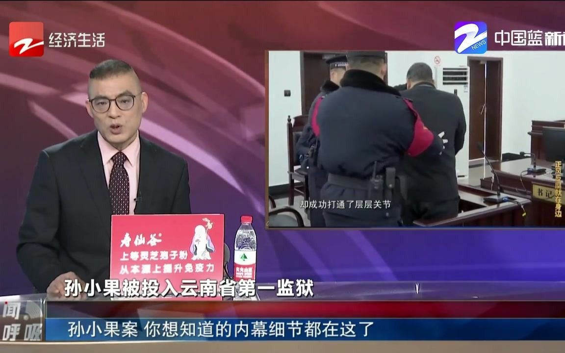 孙小果案 你想知道的内幕细节都在这了