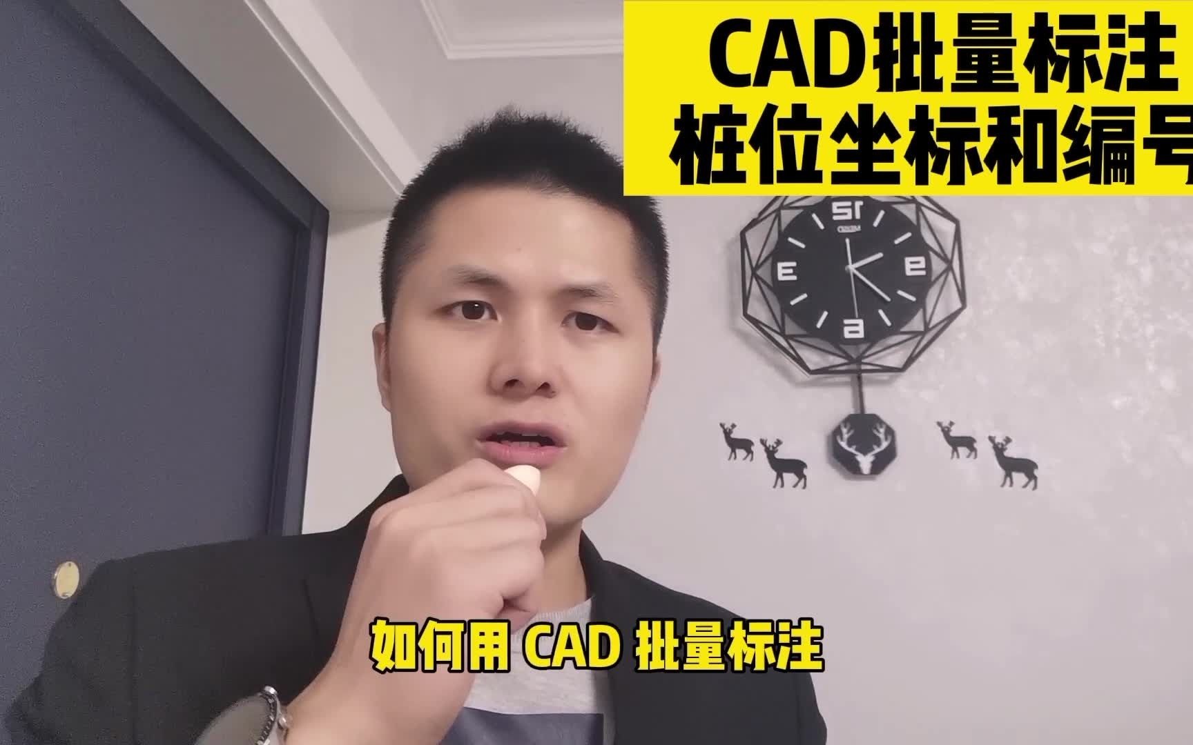 如何用CAD批量标注,上万个圆桩坐标并编号?工程人员必备cad技巧