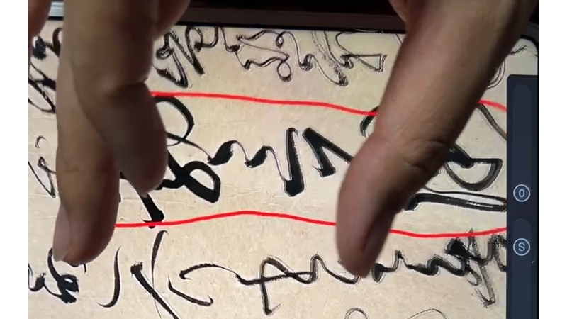 樊鹏飞解读草书册页《滕王阁序》几页