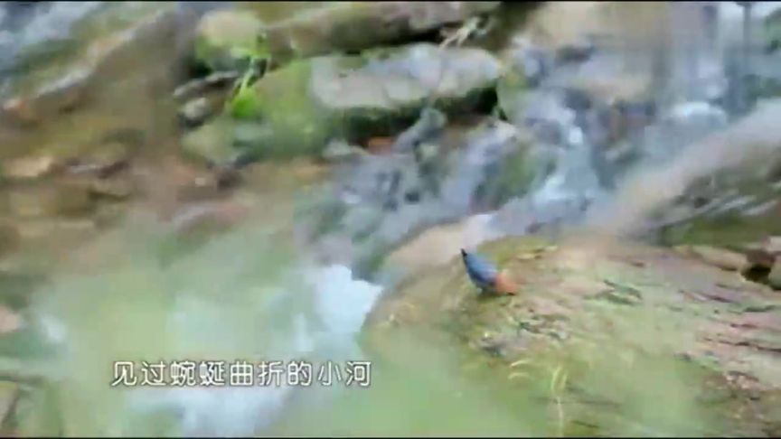变形计:农村孩子写了一篇作文,结果城里孩子们听完后都哭了!