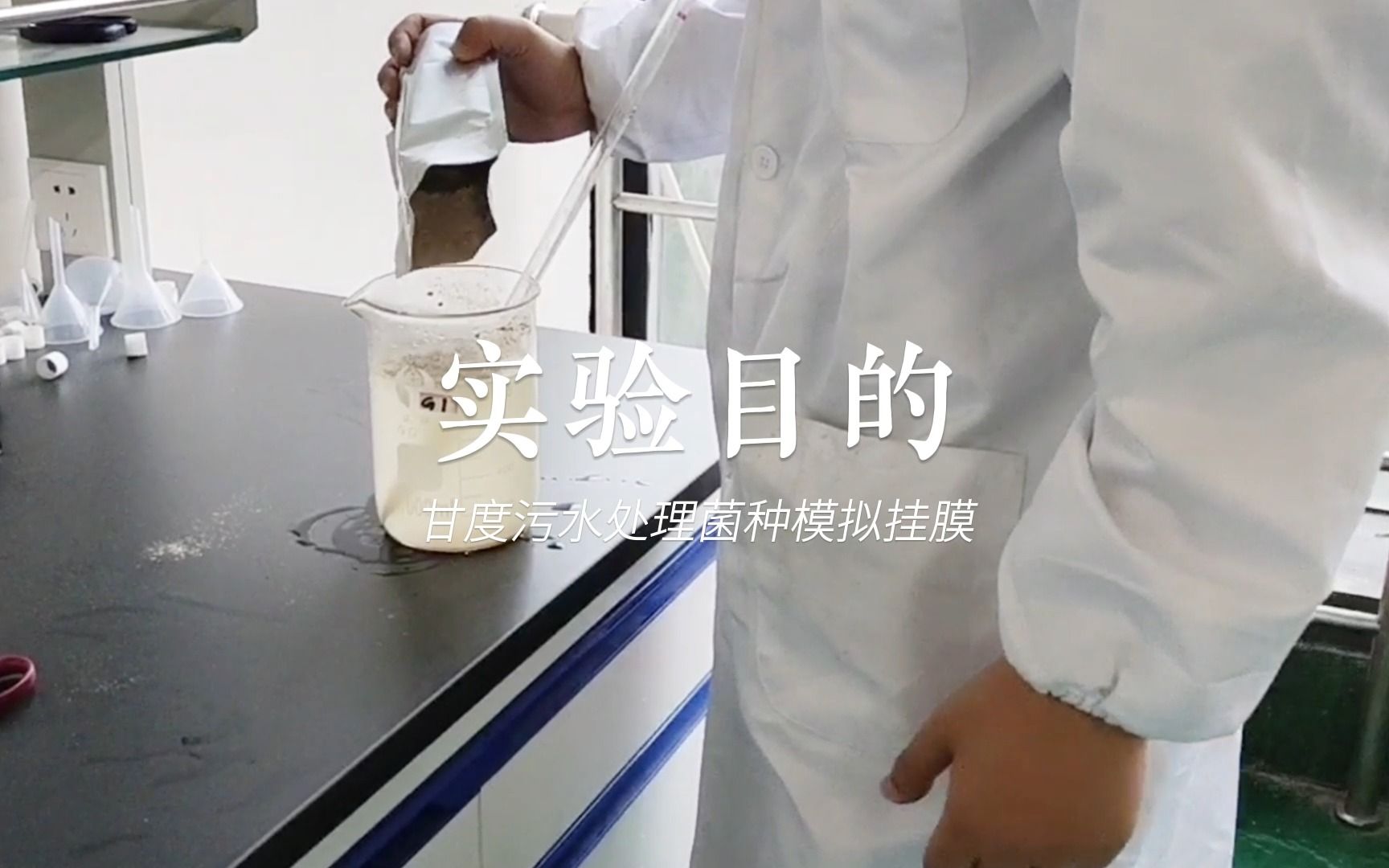 污水处理好氧池生物菌种挂膜试验准备