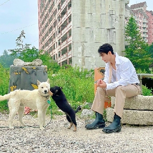 七月的美齿 