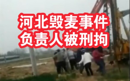 河北通报因建光伏电站毁麦事件:项目负责人被刑拘 县委政府深刻检讨