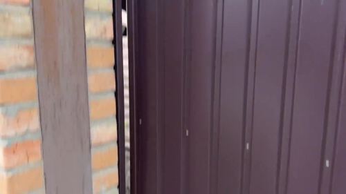 狗狗:不知道啊简历乱填的