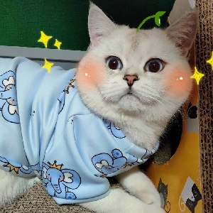 面瘫の土豆 