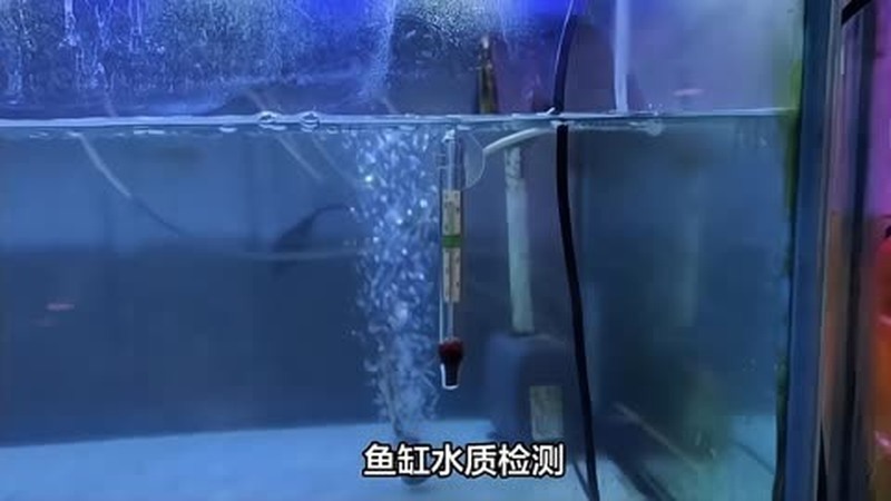 水族箱水质指标检测及处理方法