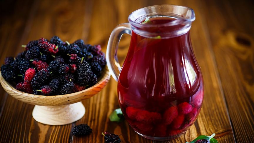 自制桑葚酒,掌握这几点,酒香浓郁口感醇厚,放一年也不坏!