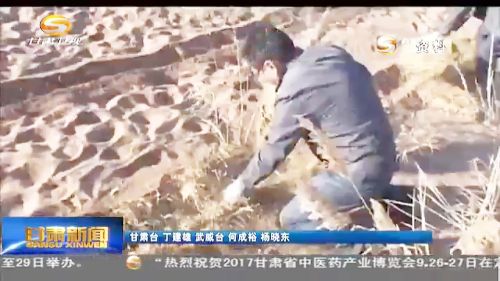 民勤:学塞罕坝精神 风沙线上筑绿色丰碑