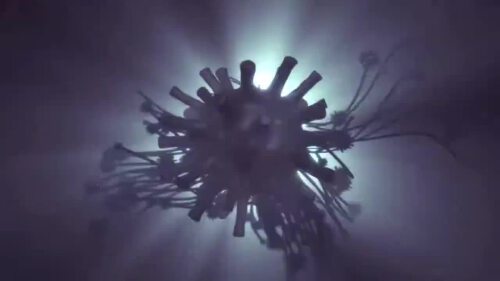 重大消息!本田首席执行官对电动车市场的现状表态!