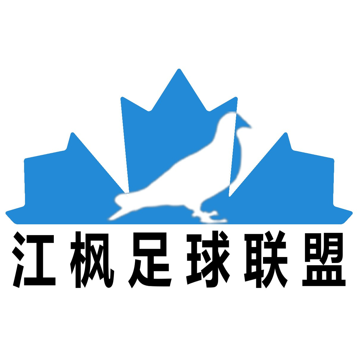 江枫足联 