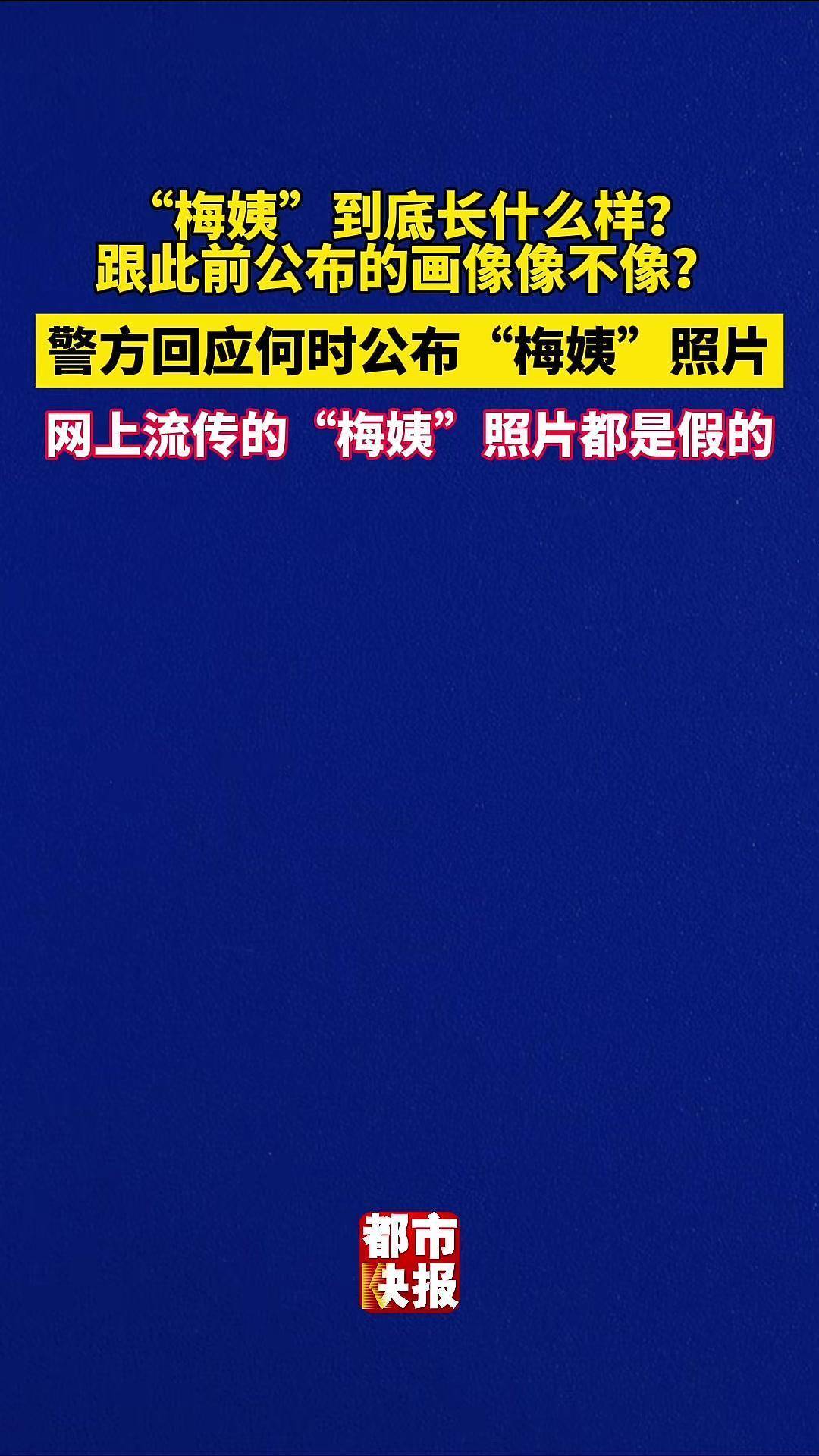 "梅姨"到底长什么样?跟此前公布的画像像不像?#警方回应何时公布梅姨照片#警方称现阶段不公布梅姨照片#网上流传的梅姨照片都是假的
