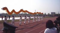 第七届运动会开幕式舞龙舞狮队进场