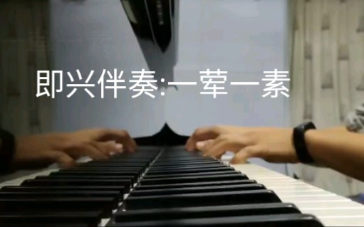 即兴伴奏:一荤一素