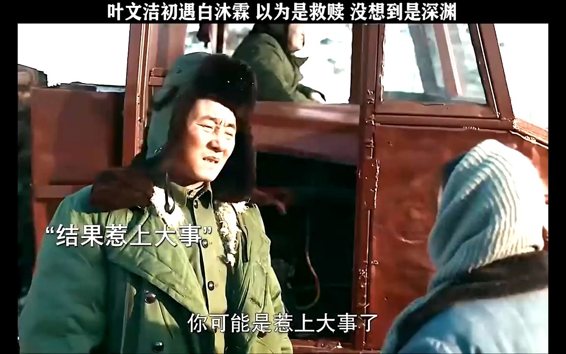 叶文洁白沐霖大兴安岭初遇,由于同样痛惜被砍伐的树木,俩人产生共鸣