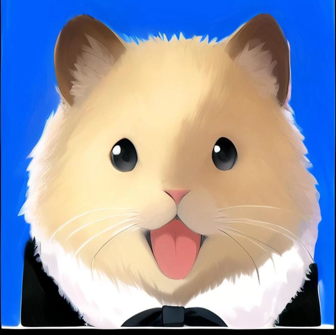 棺木zZ 