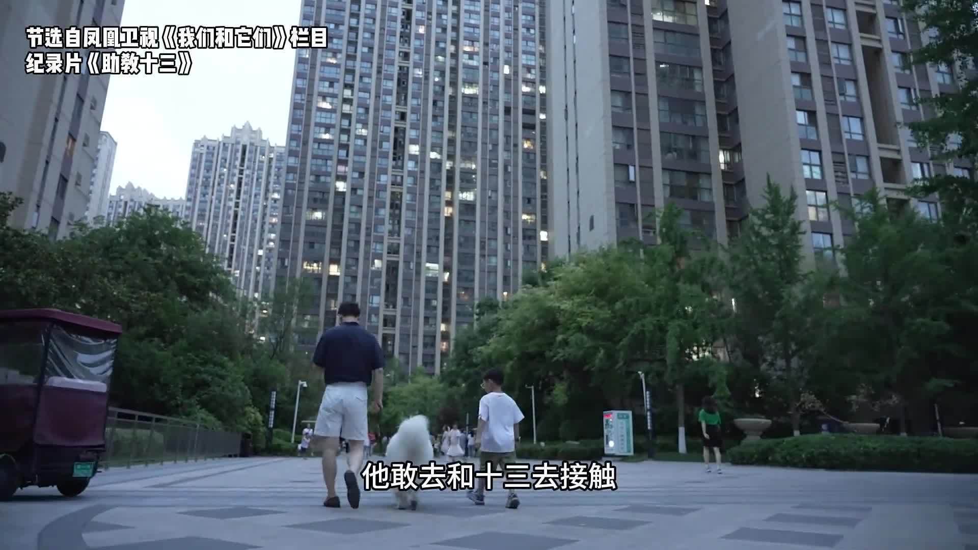 凤凰卫视纪录片《助教十三》精选片段2 为什么要带狗狗走进大学课堂,...