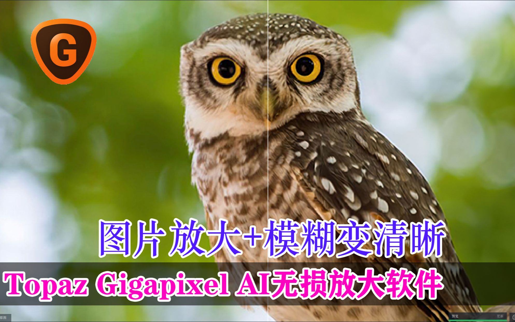 图片无损放大 模糊变清晰 Topaz Gigapixel AI人工智能软件教程