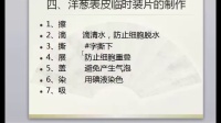 观察植物细胞基本结构视频