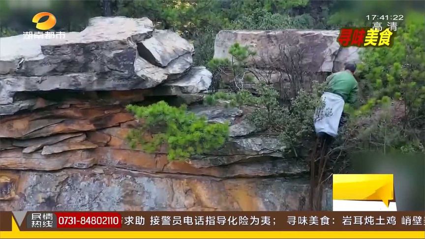 土鸡的“完美搭档”!只长在悬崖峭壁,这道张家界美食你吃过吗?