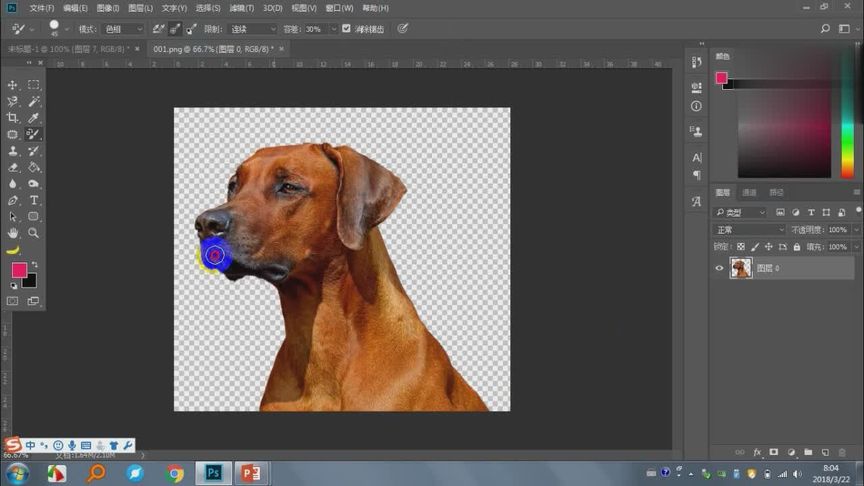 Photoshop画笔工具组的基础应用