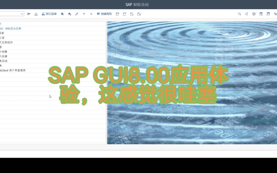 SAP GUI8.00应用体验,这感觉很哇塞