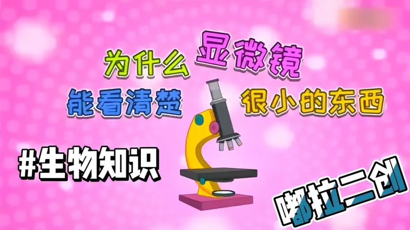 嘟拉二创 生物知识:为什么显微镜能看清楚很小的东西